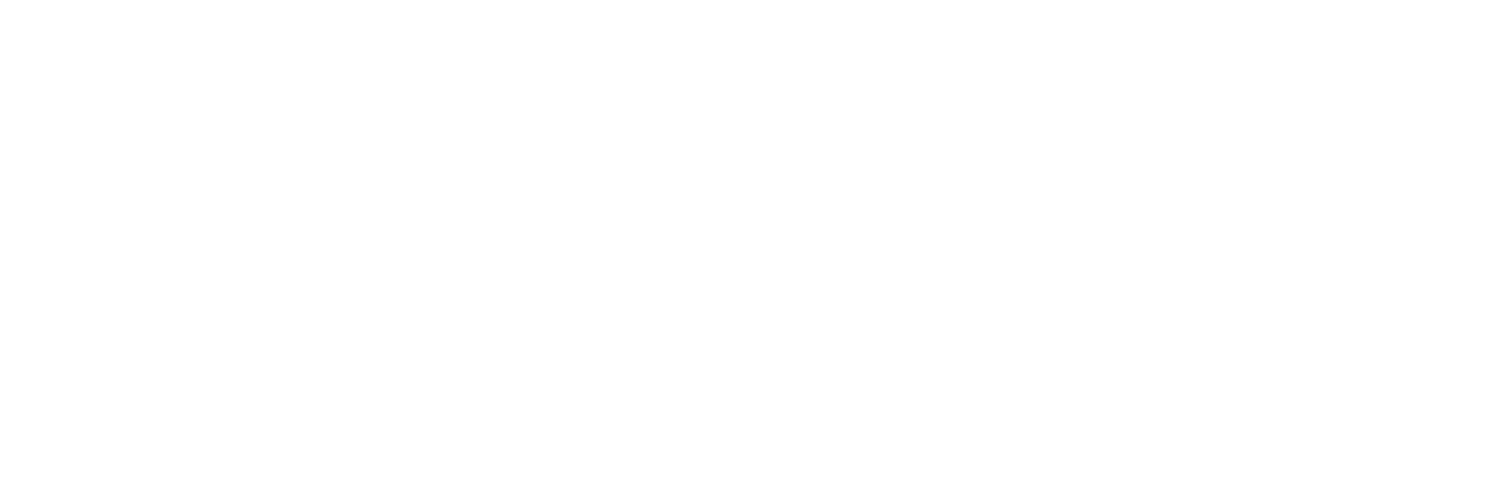 Western Iron